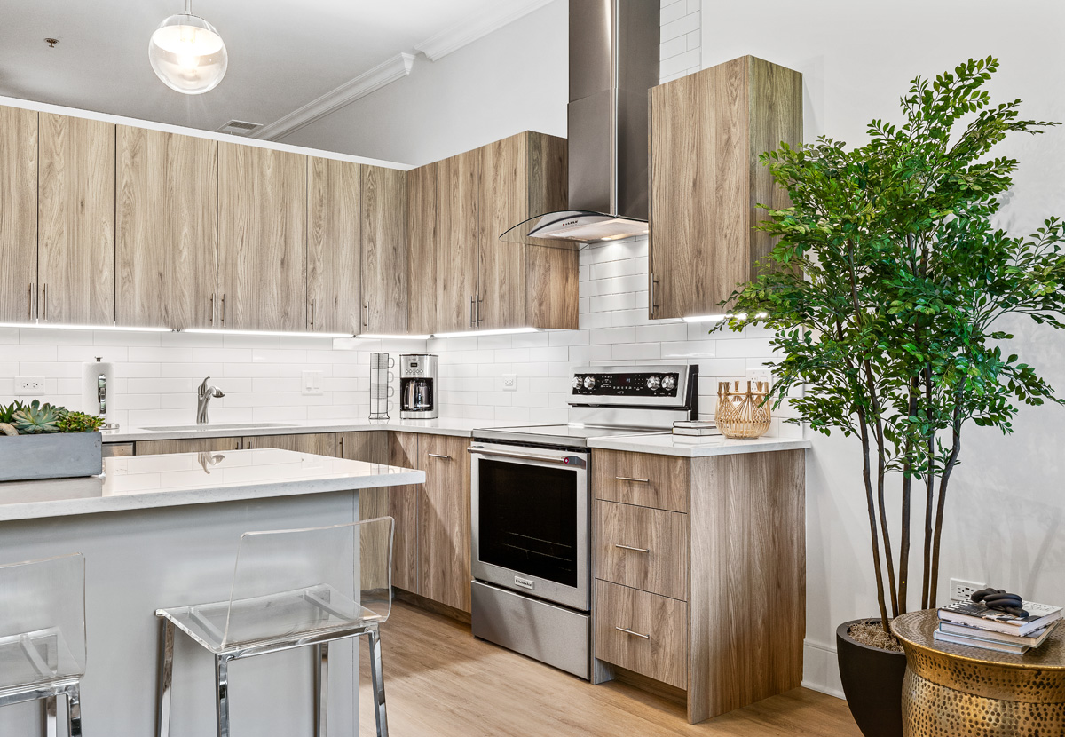 Location - The Best Luxury Apartment Buildings in Chicago: West Loop ...